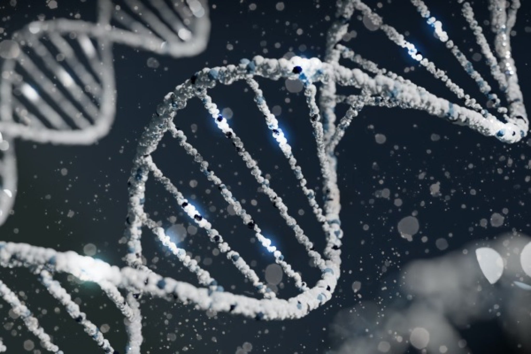 Moléculas de RNA controlam o reparo do DNA humano em células ...